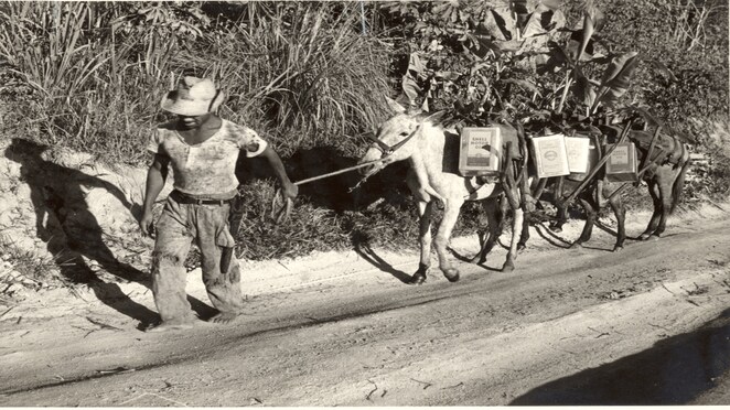 Shell Brasil - 110 anos | Shell Brasil