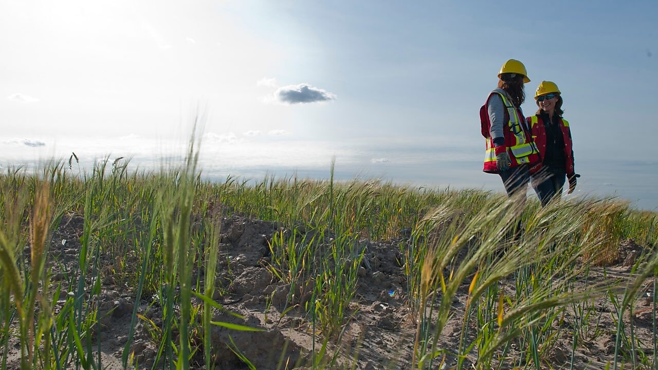 A Energia para a Shell | Shell Brasil