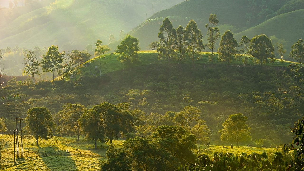Carbon Countdown | Shell Brasil