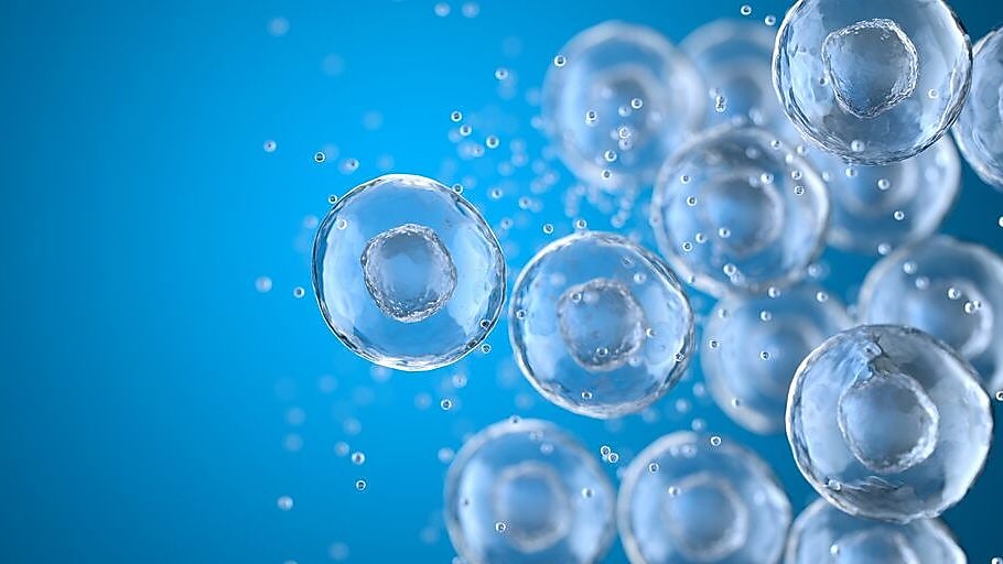 Ethanol to H₂ | Shell Brasil